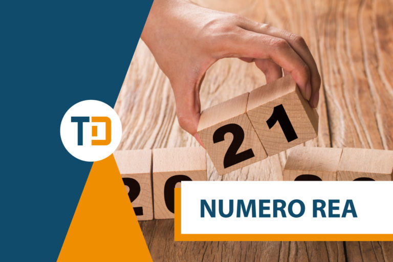 Numero Rea: che cos'è e a cosa serve | Telnet Data